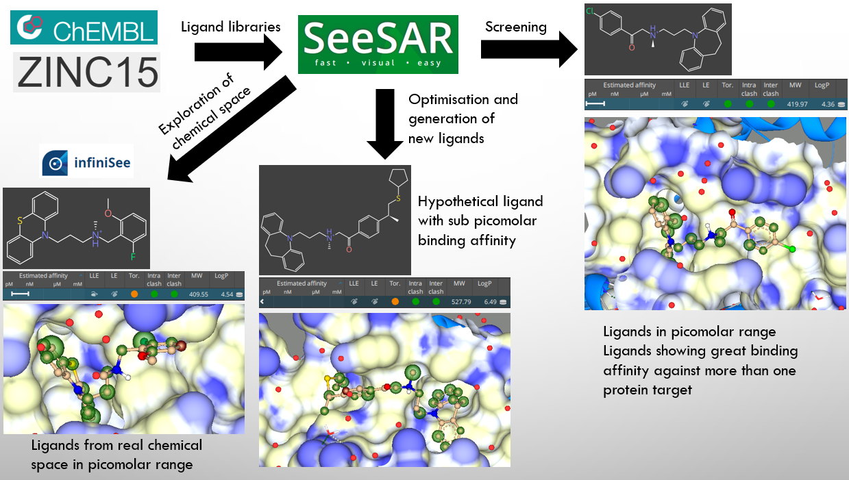 Challenge project: Design of inhibitors of BH3 domain of SARS-CoV-2 E ...