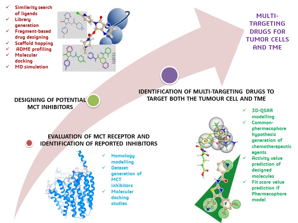 Challenge project: Drug Designing to Target Tumor Cells and it's ...