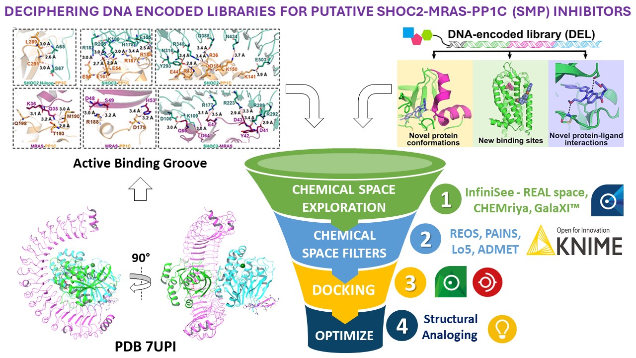 Challenge project: Deciphering DNA Encoded Libraries as Putative SHOC2 ...