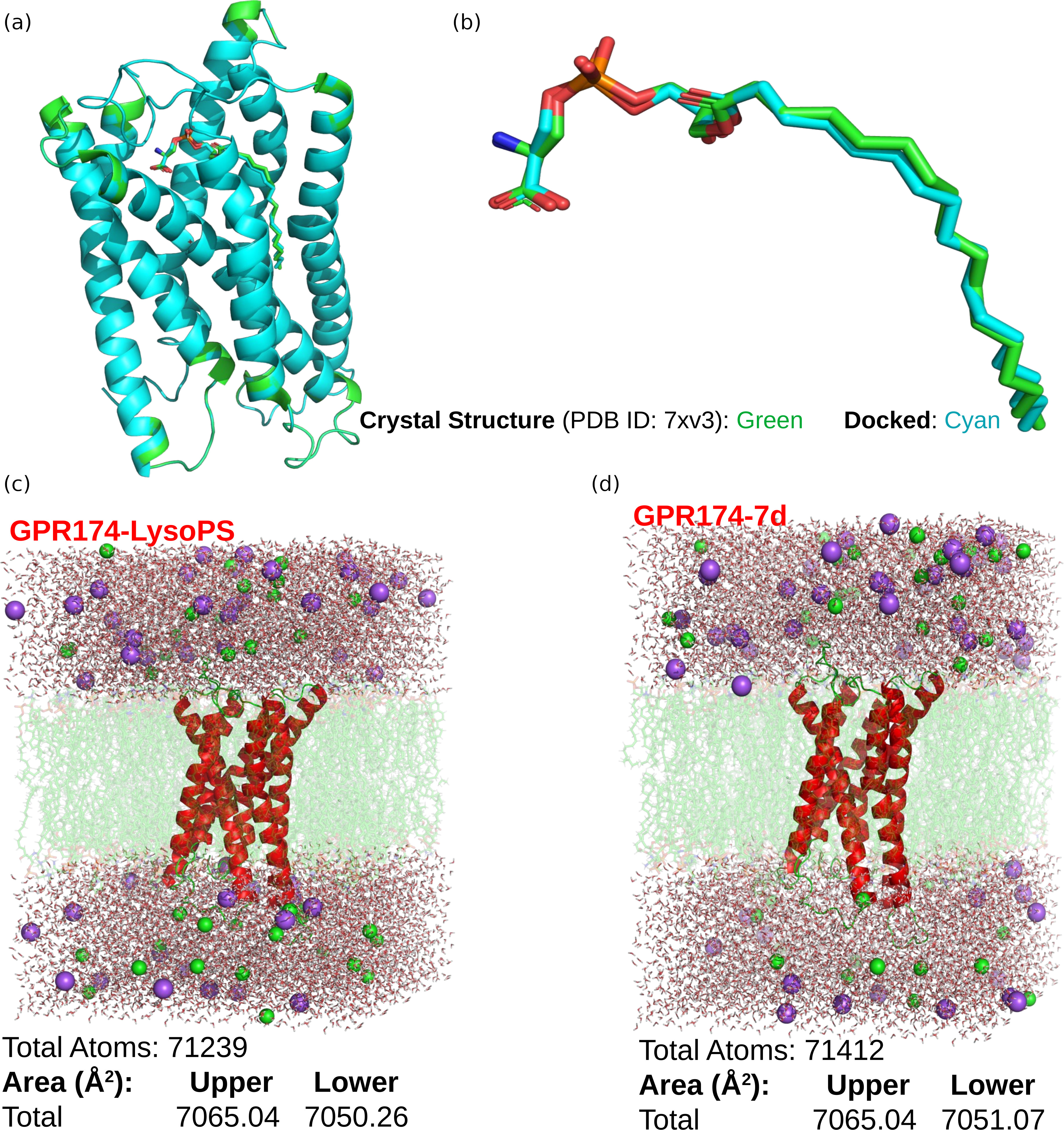 Challenge project: Targeting Orphan GPR174 for Tumor Immunotherapy ...
