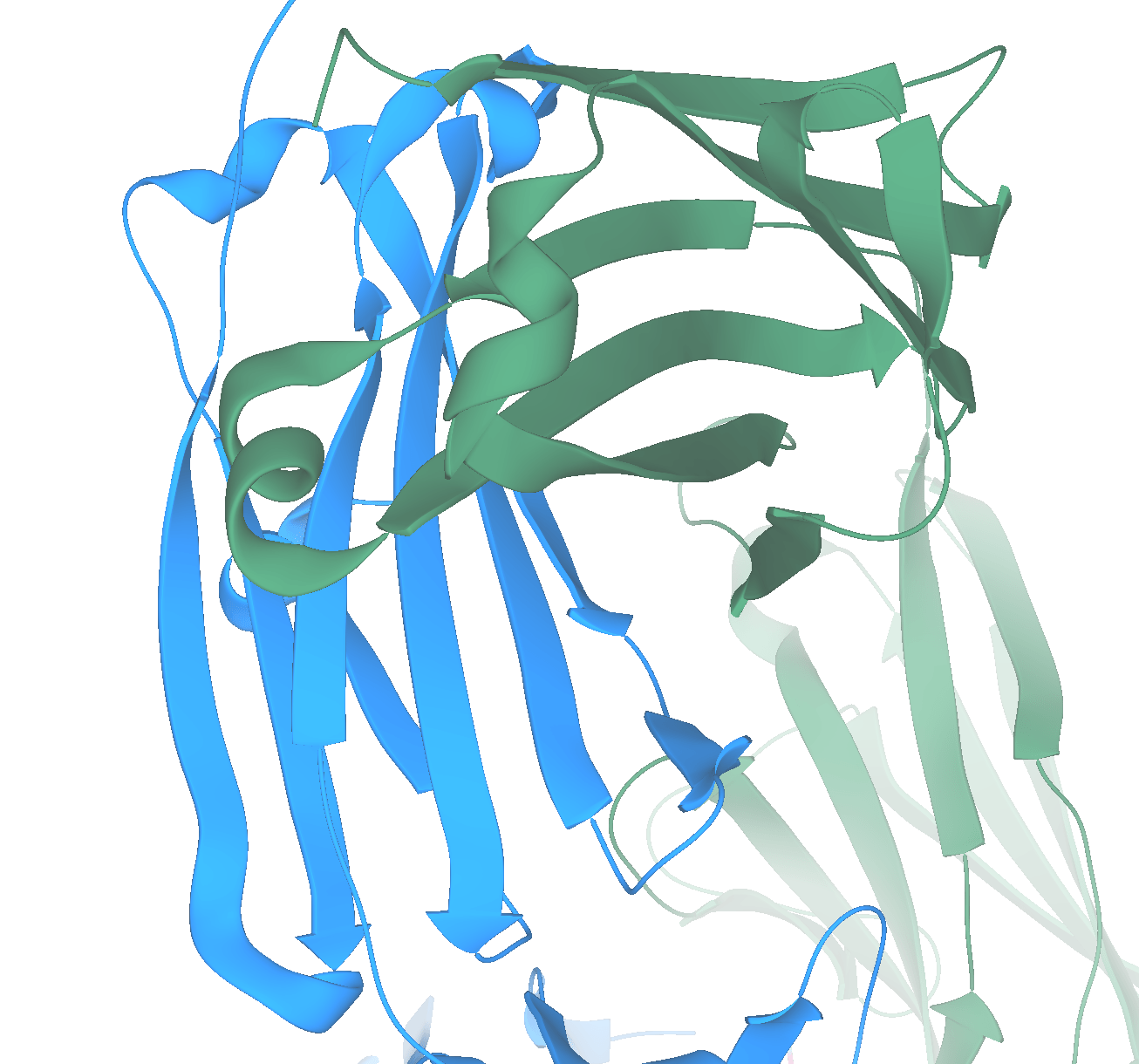 Support • BioSolveIT