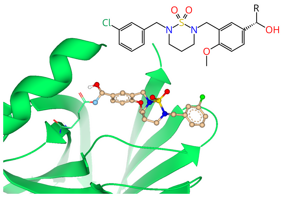 Covalent Set Update: ChemDiv Library with over 41k Entries • BioSolveIT