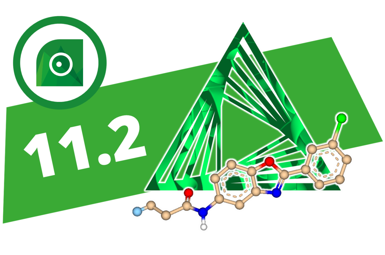 Covalent Docking Software SeeSAR • BioSolveIT