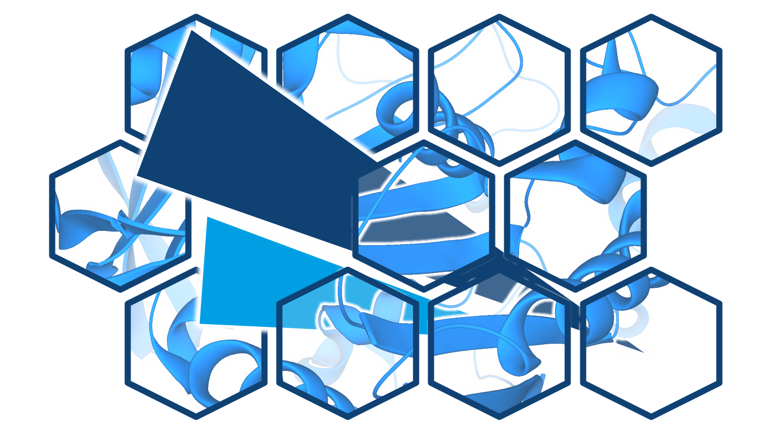 From Understanding the Molecular Basis of Diseases to Drug Discovery ...