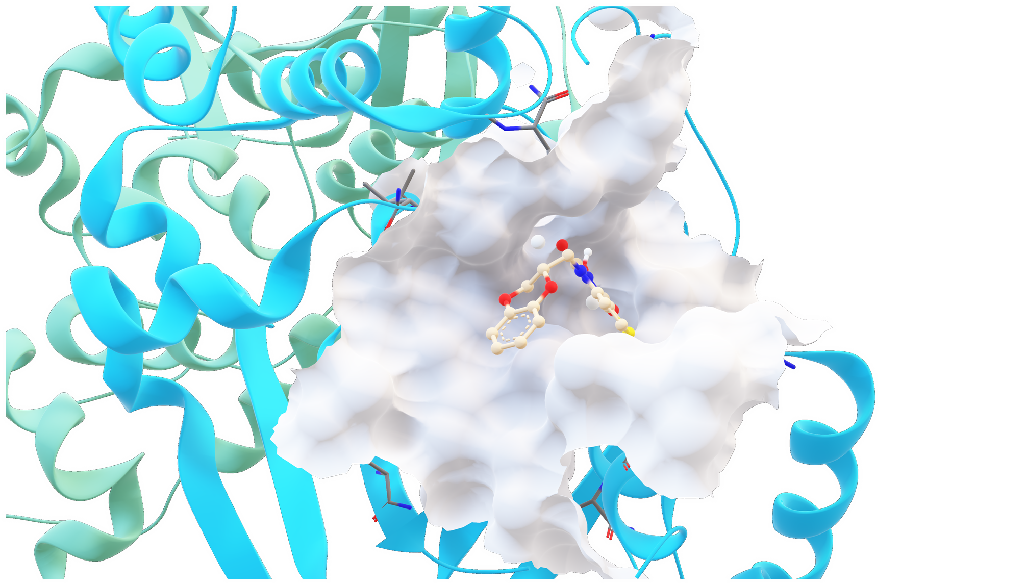 Rapid Hit and Hit-to-Lead Generation in Early Drug Discovery • BioSolveIT