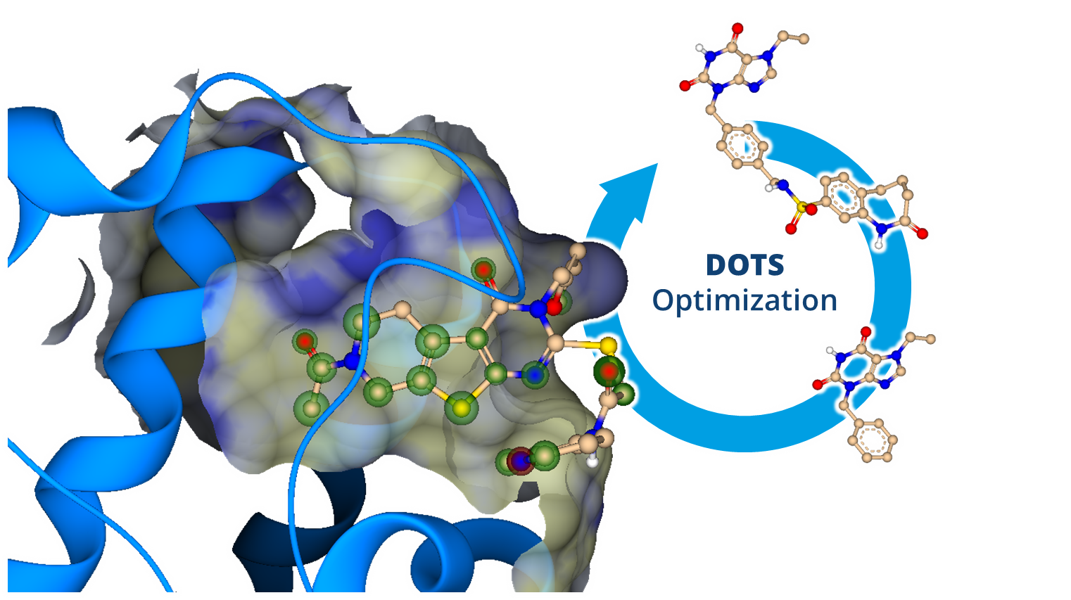 Integrated Strategy for Hit-to-Lead Optimization: The 'DOTS' approach • BioSolveIT