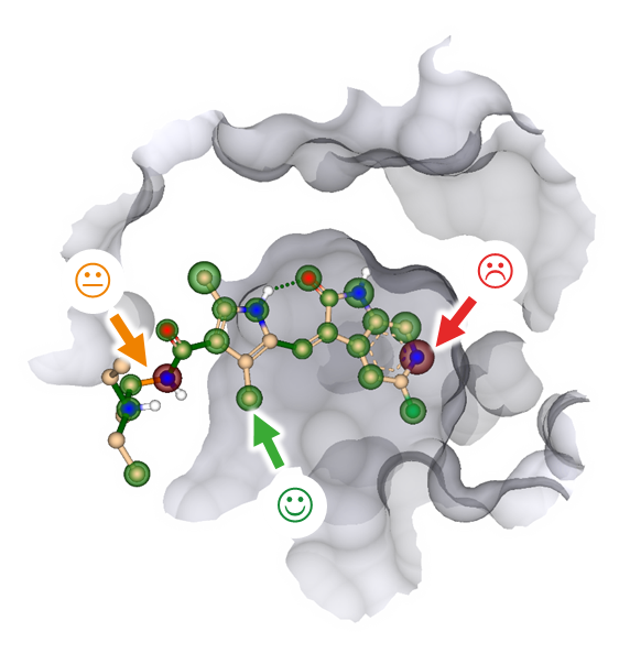 BioSolveIT — The Next Level of Drug Discovery • BioSolveIT