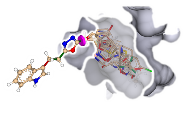 BioSolveIT — The Next Level of Drug Discovery • BioSolveIT