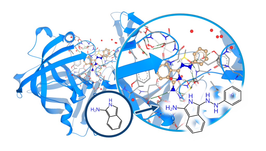 Drug discovery with BioSolveIT apps — expect actives!