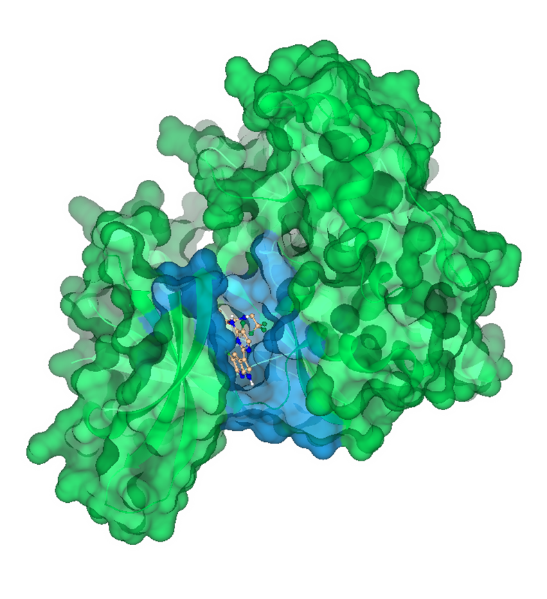 Drug discovery with BioSolveIT apps — expect actives!