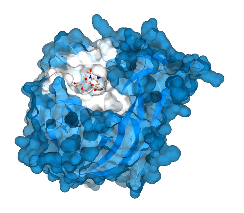 Drug discovery with BioSolveIT apps — expect actives!