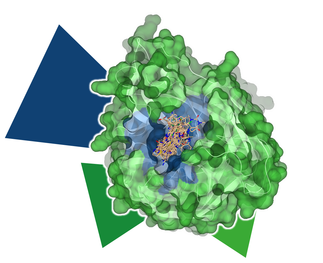 Services • BioSolveIT