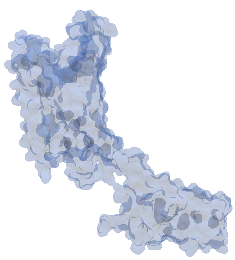 Chemical Spaces • Ultra-Large Compound Collections by BioSolveIT