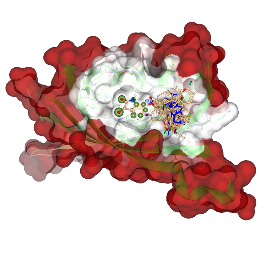 Chemical Space Docking • BioSolveIT