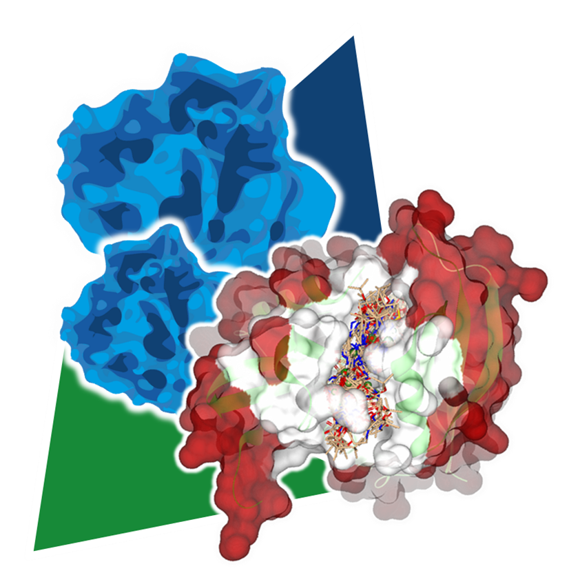 Drug discovery with BioSolveIT apps — expect actives!
