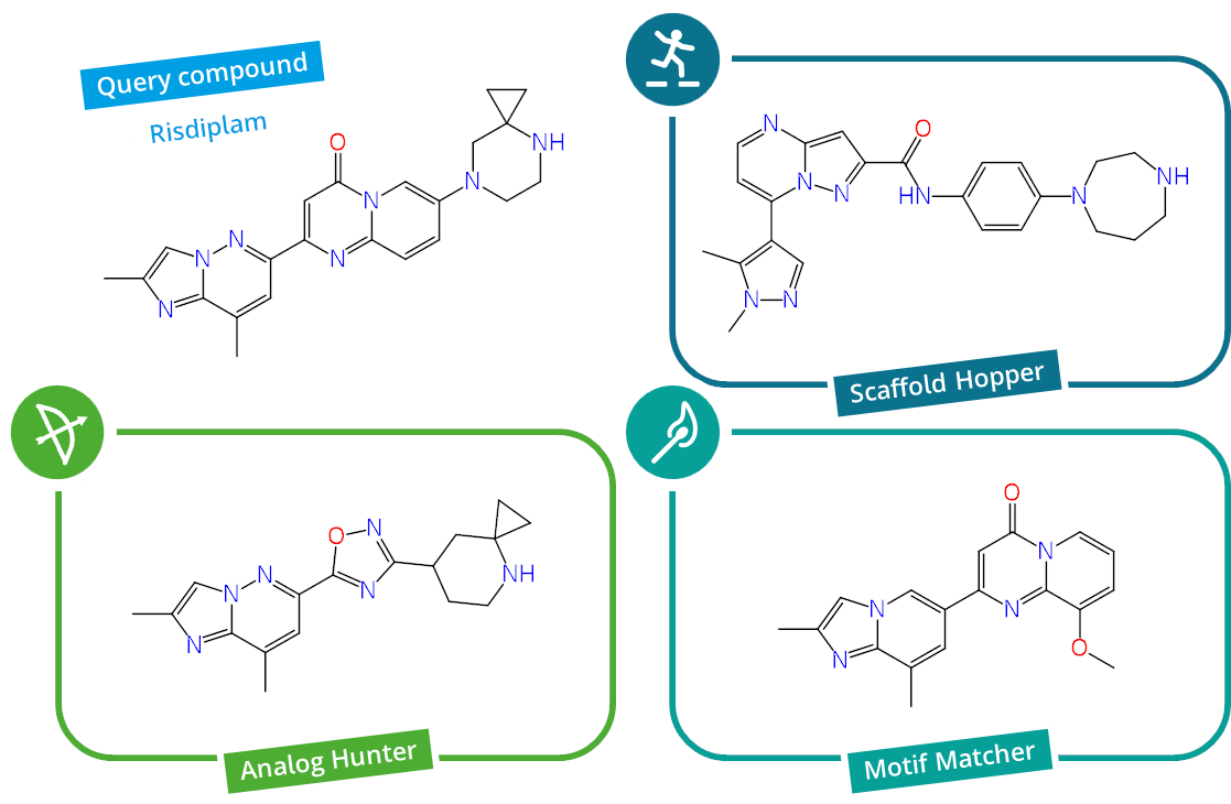 Behind the Scenes of Enamine's REAL Space • BioSolveIT