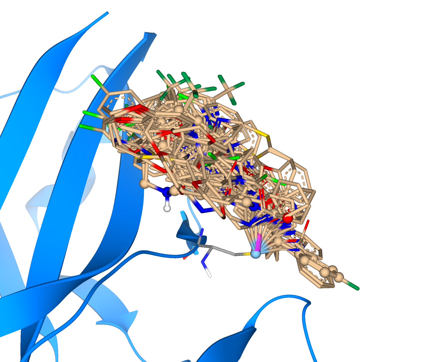 Covalent Warhead Transformation in SeeSAR • BioSolveIT