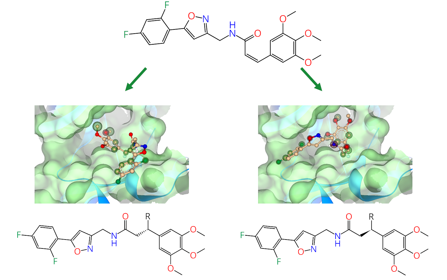 Covalent Warhead Transformation in SeeSAR • BioSolveIT