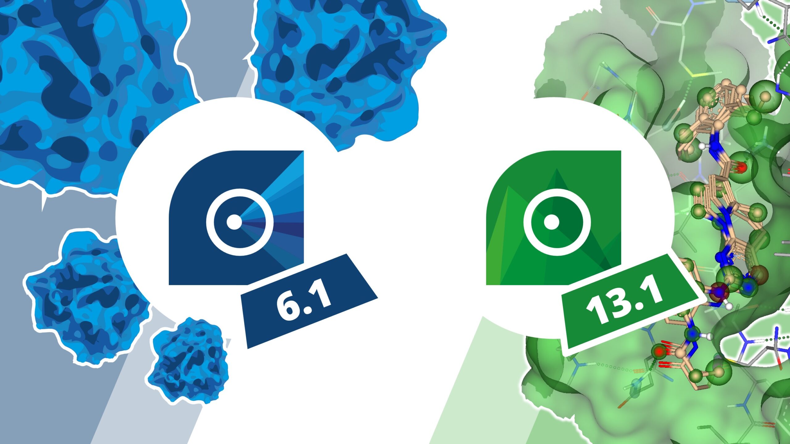 New Features in SeeSAR 13.1 and infiniSee 6.1 Releases • BioSolveIT