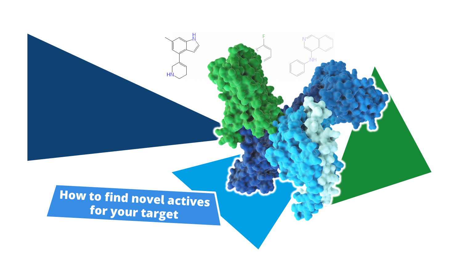 New Chemical Entities • BioSolveIT