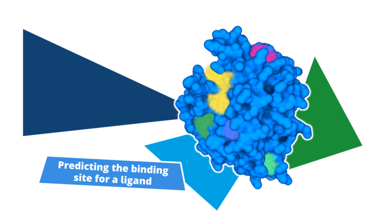 Binding Site Prediction • BioSolveIT