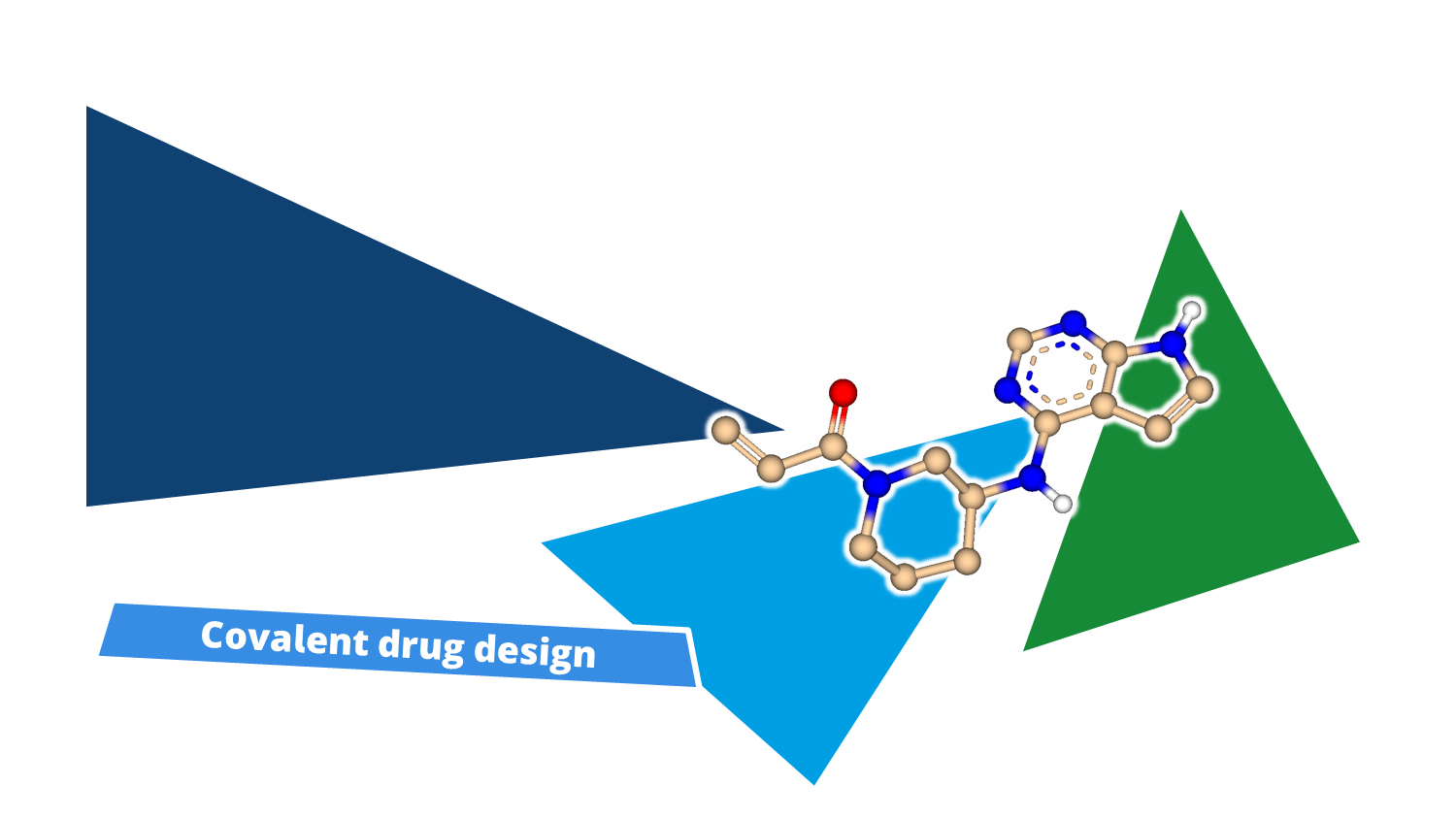 Covalent Drug Design • BioSolveIT