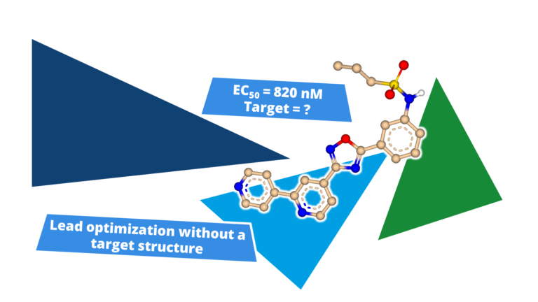 Ligand-Based Lead Optimization • BioSolveIT