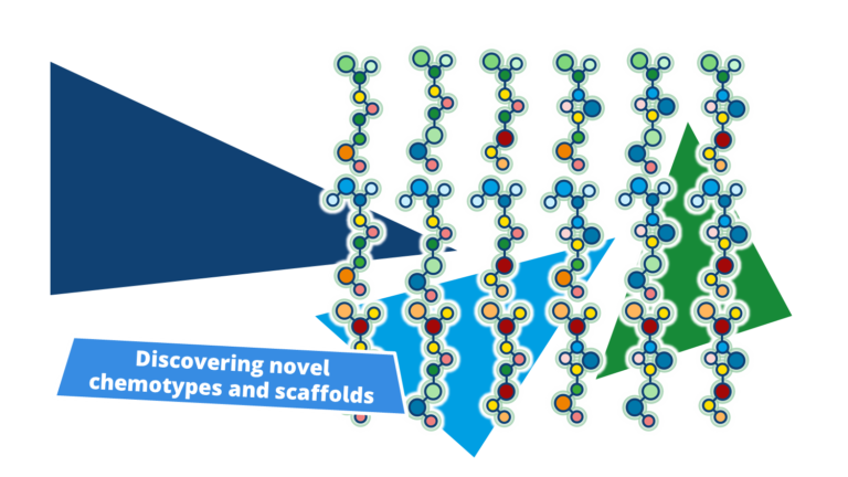 New Chemical Entities • BioSolveIT