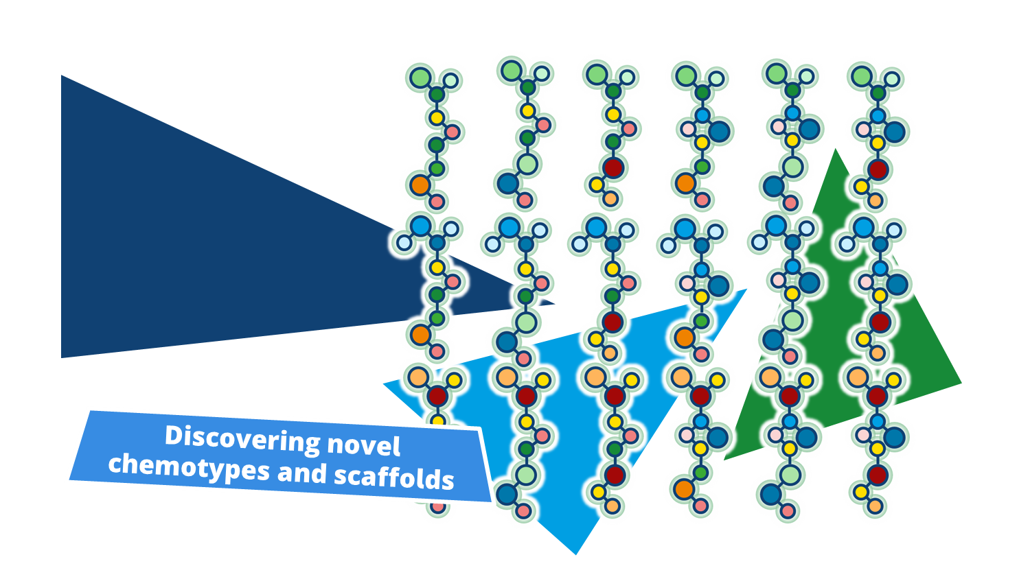 New Chemical Entities • BioSolveIT