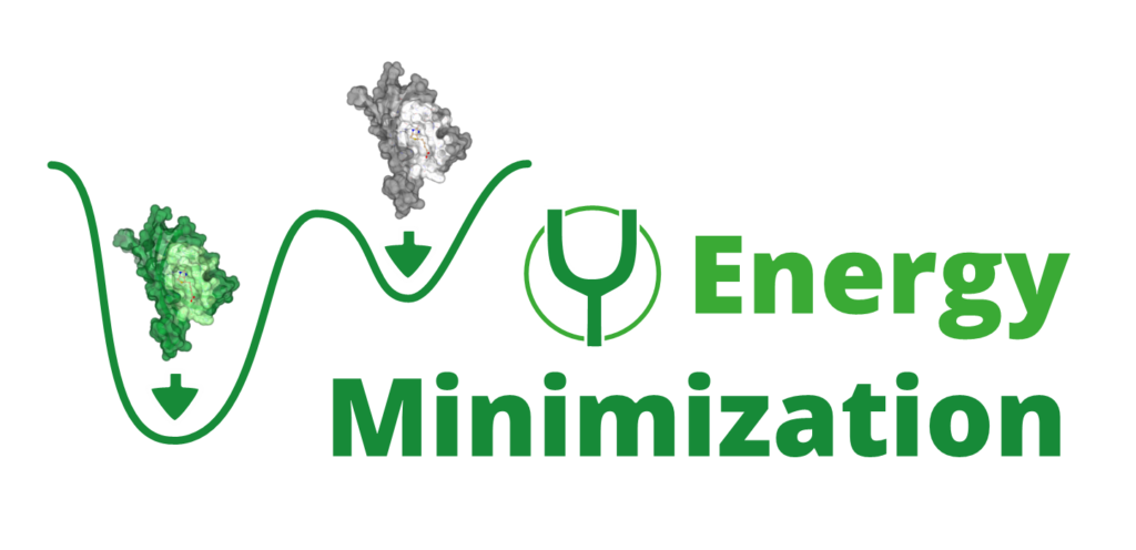 Energy Minimization of Structures • BioSolveIT