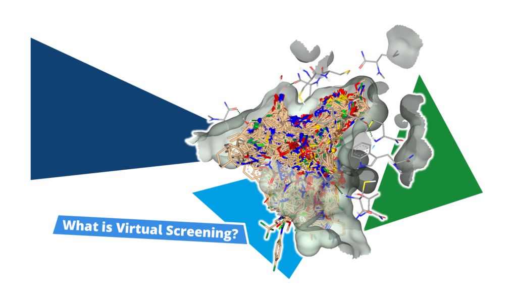 Virtual Screening in Drug Discovery • BioSolveIT