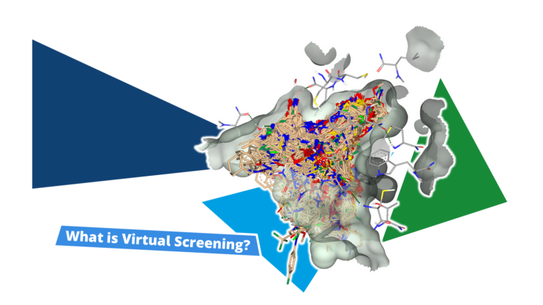 Virtual Screening in Drug Discovery • BioSolveIT