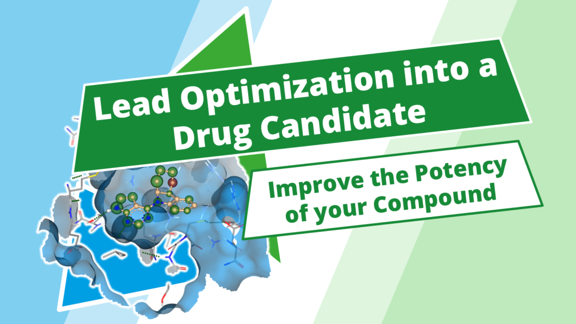 Lead Optimization • BioSolveIT