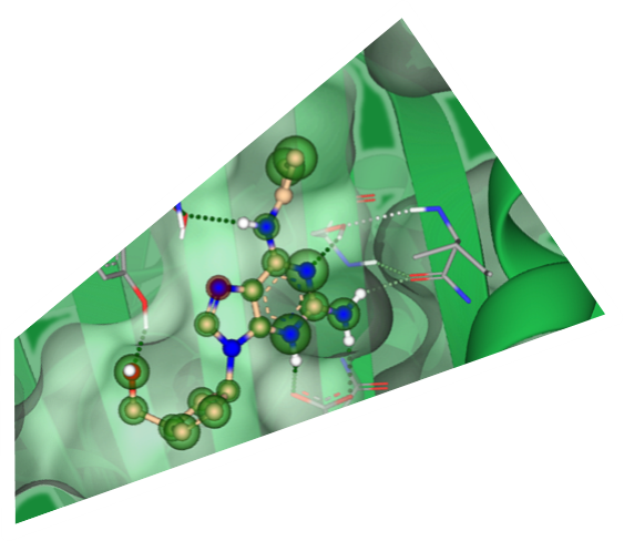 Drug discovery with BioSolveIT apps — expect actives!