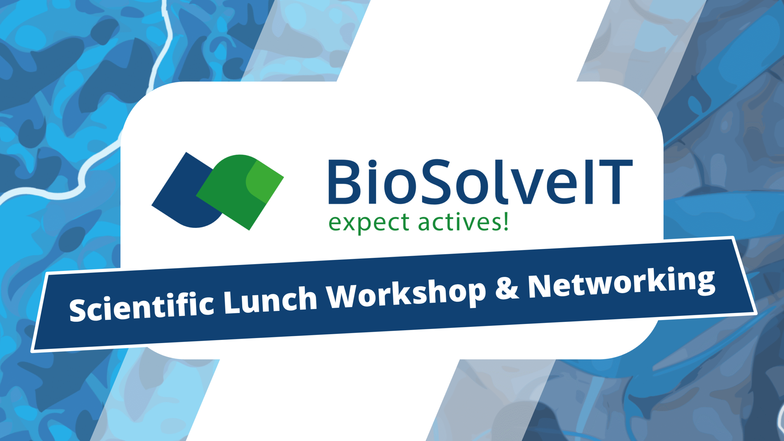 Scientific Lunch Workshop 2025 (SD/SF) • BioSolveIT